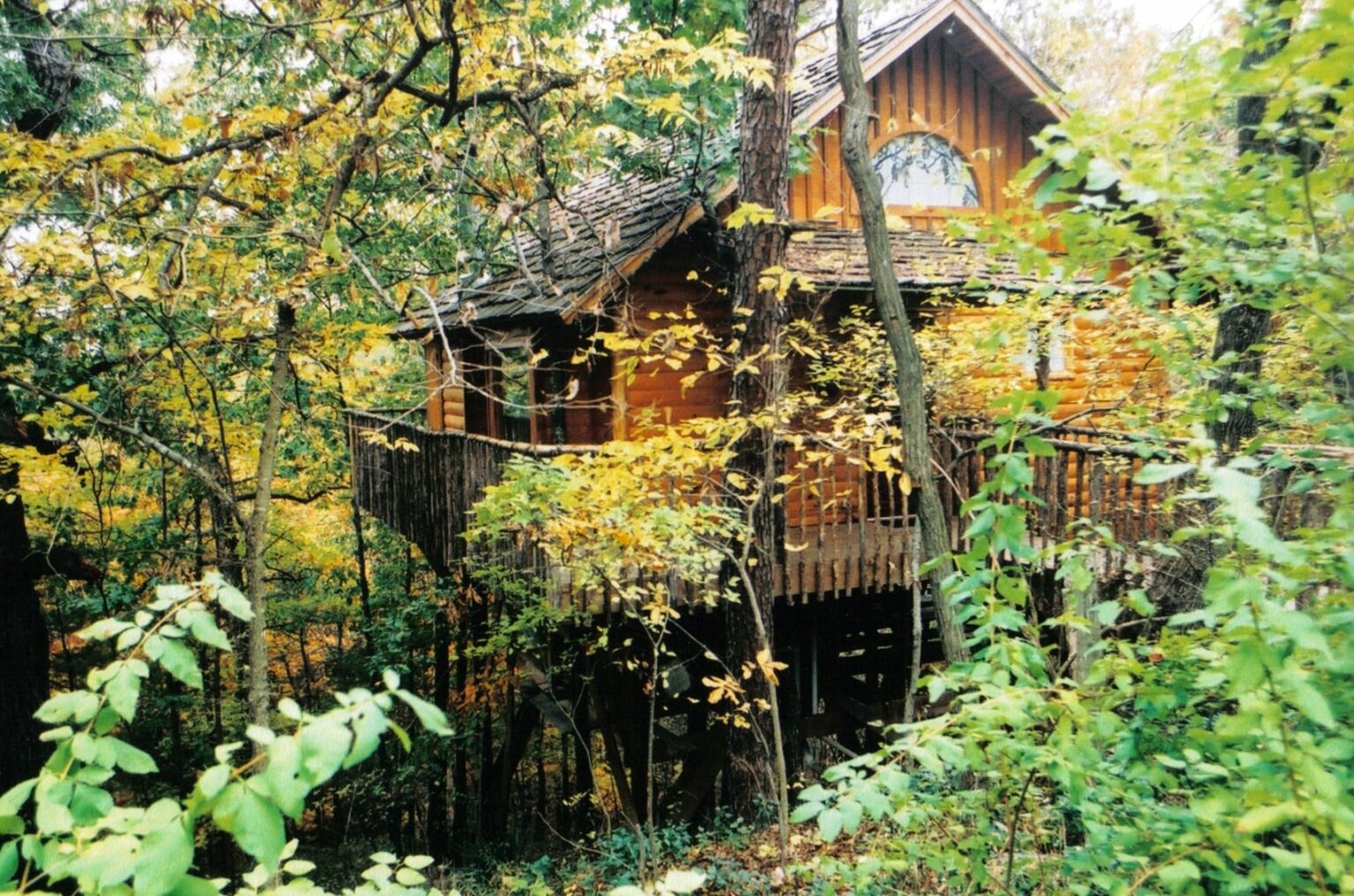 15 Epic Treehouses in Arkansas To Rent in 2023 - Cabin Trippers