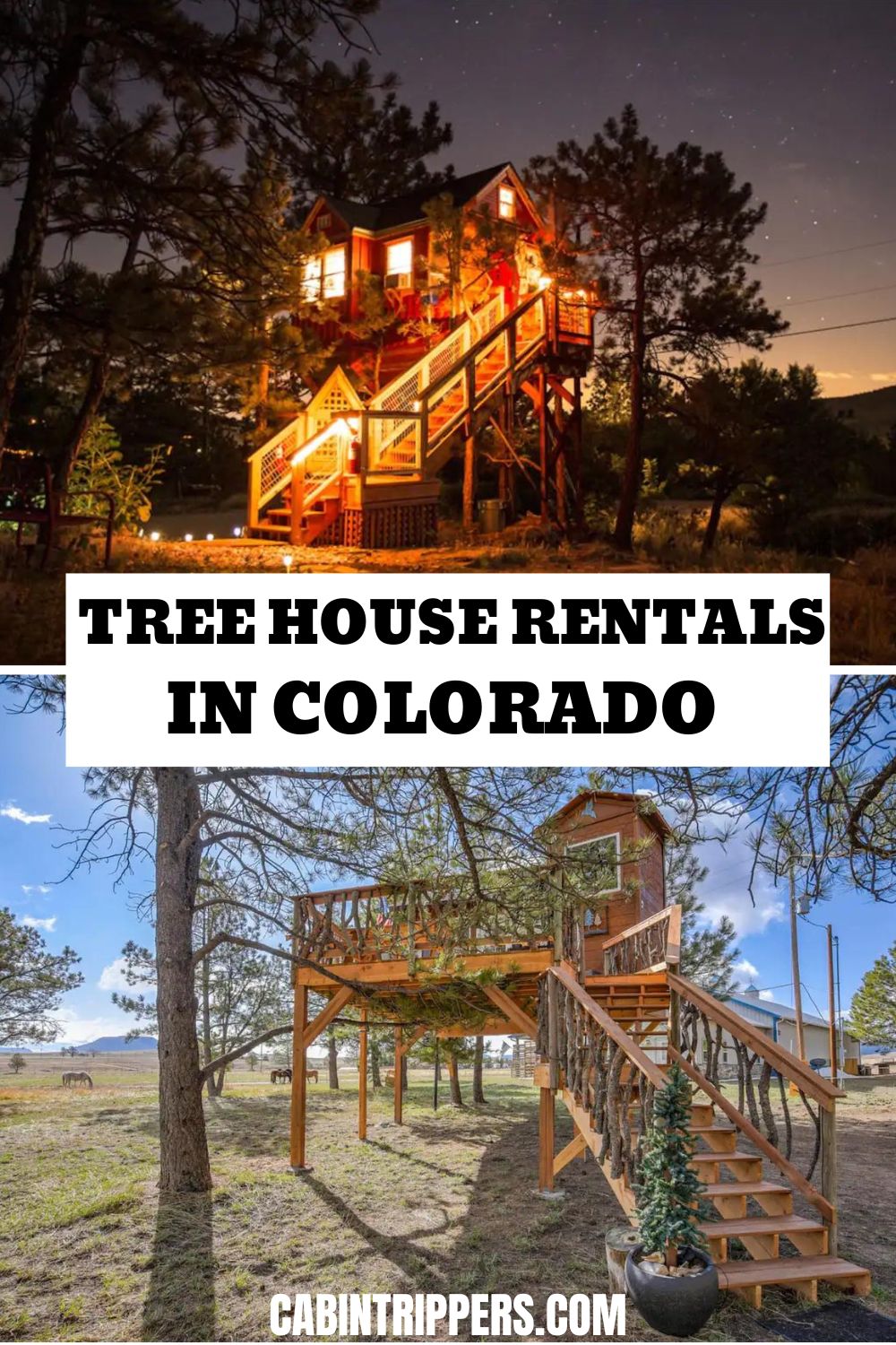 TOP 12 Tree House Rentals in Colorado To Experience - Cabin Trippers