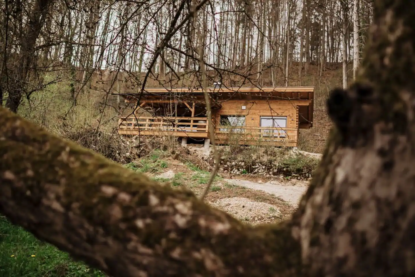 13 Best Cabins in Germany To Rent in 2023 - Cabin Trippers